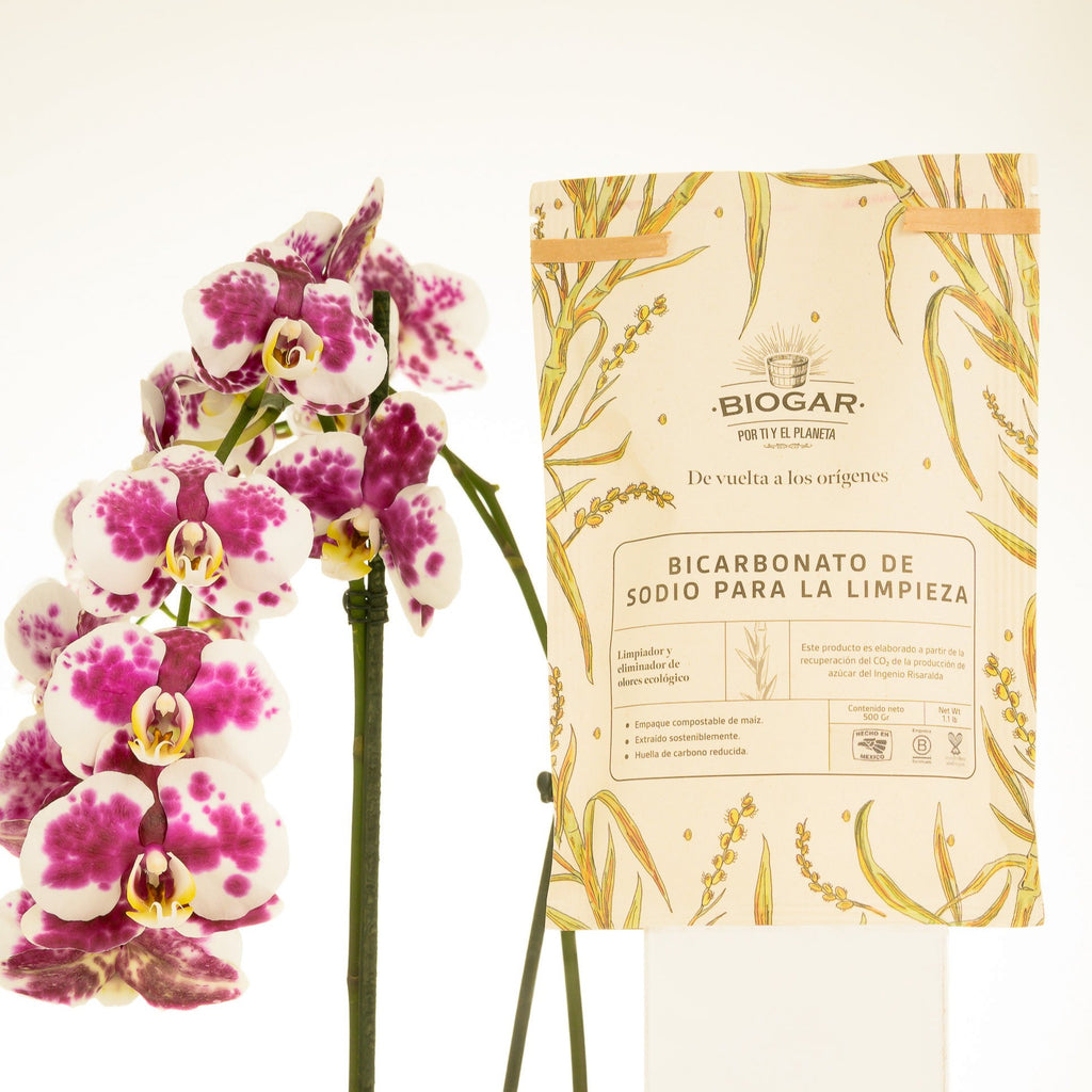 Bicarbonato de Sodio – Biogar Cuidado Ambiental